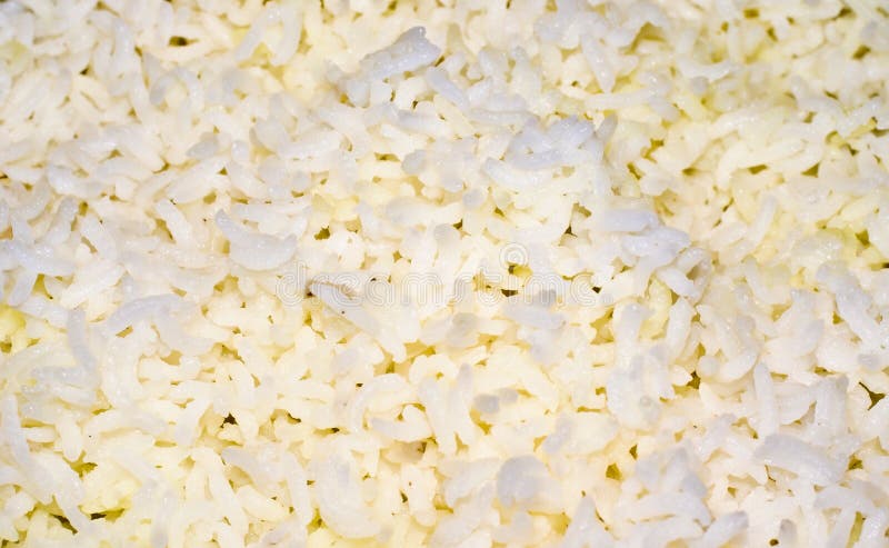 Cooked white rice grains stock photo. Image of grain - 19794552