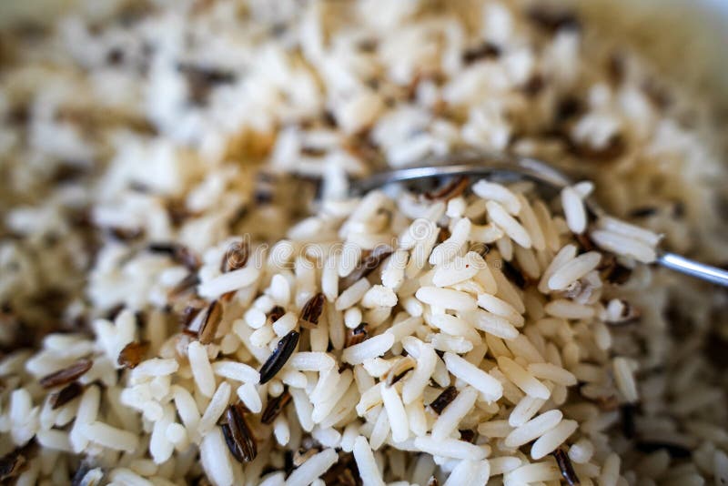 Cooked wild rice grains stock photo. Image of healthy - 374041854