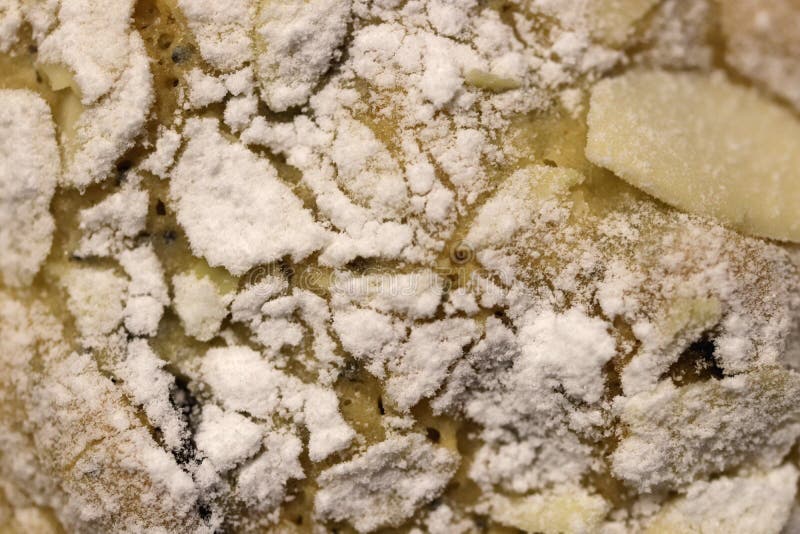 Cookie with Almond Pieces Sprinkled with Powdered Sugar Surface Texture ...