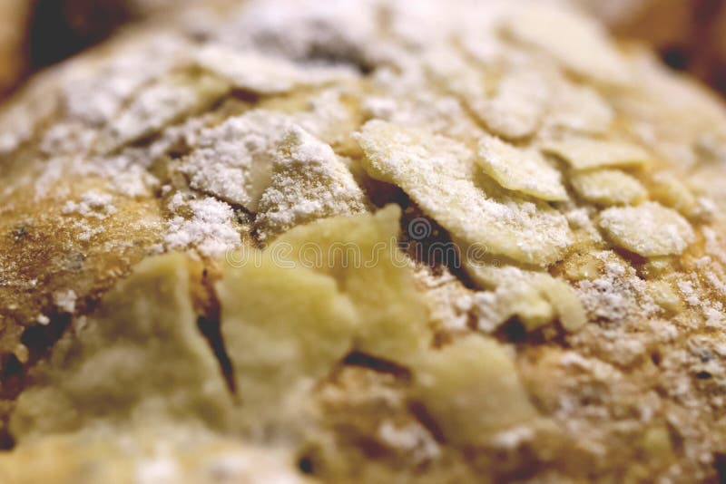Cookie with Almond Pieces Sprinkled with Powdered Sugar Surface Texture ...