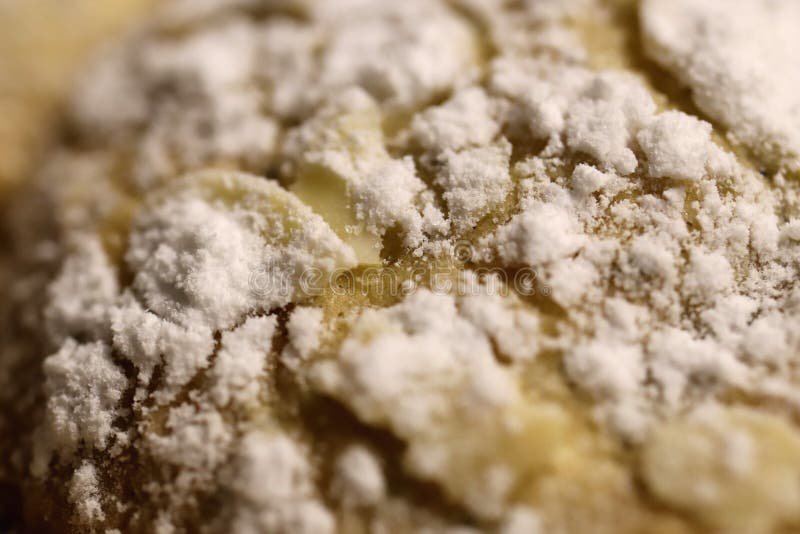 Cookie with Almond Pieces Sprinkled with Powdered Sugar Surface Texture ...