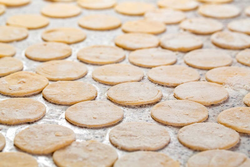 Cookie Blanks, Dough Formed into Circles on the Production Table in the ...