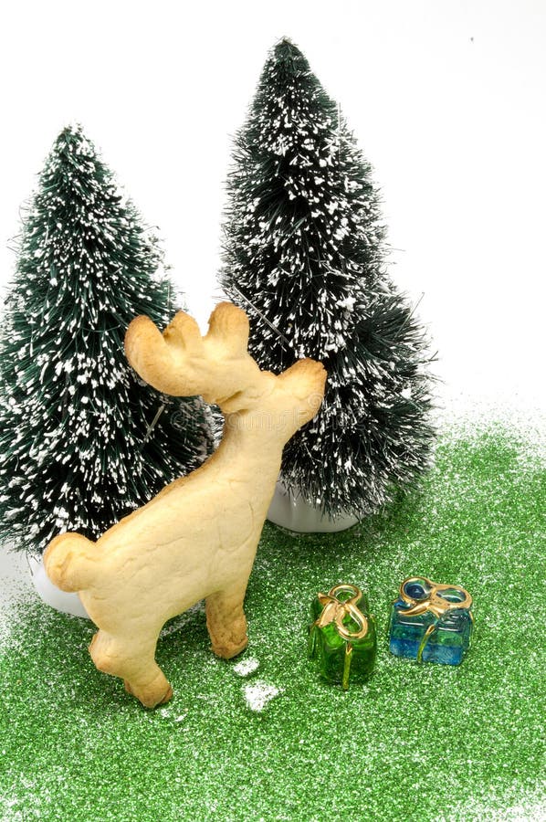 Cookie Christmas Tree Scene Stock Image - Image of snow, green: 20041895