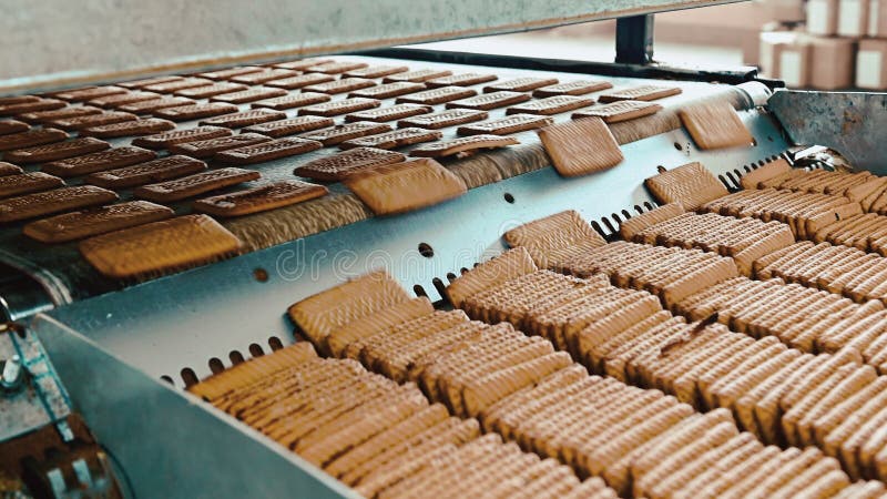 Cookie Making Process Industry Dough Factory Conveyor Stock Footage ...