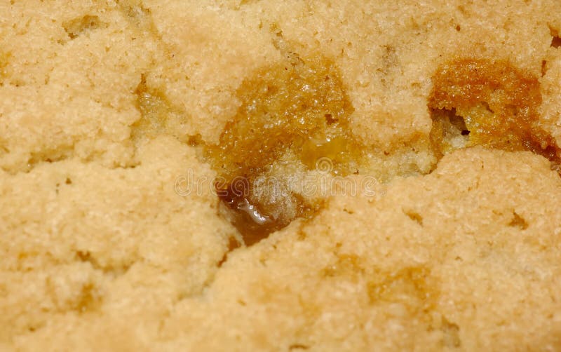 Cookie Texture stock image. Image of cookie, surface, detail - 632879