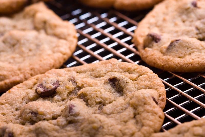 Cooling Cookies stock image. Image of biscuit, homemade - 19648691