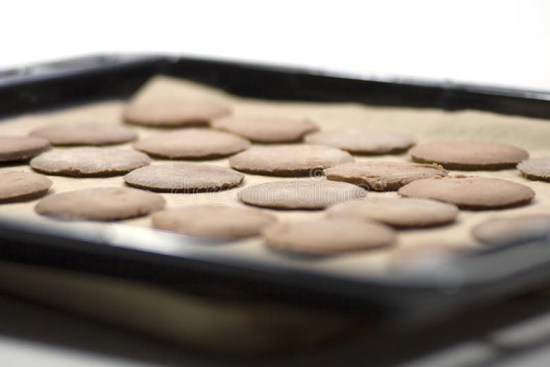 Cookies on a baking pan stock photo. Image of preparation - 3686764