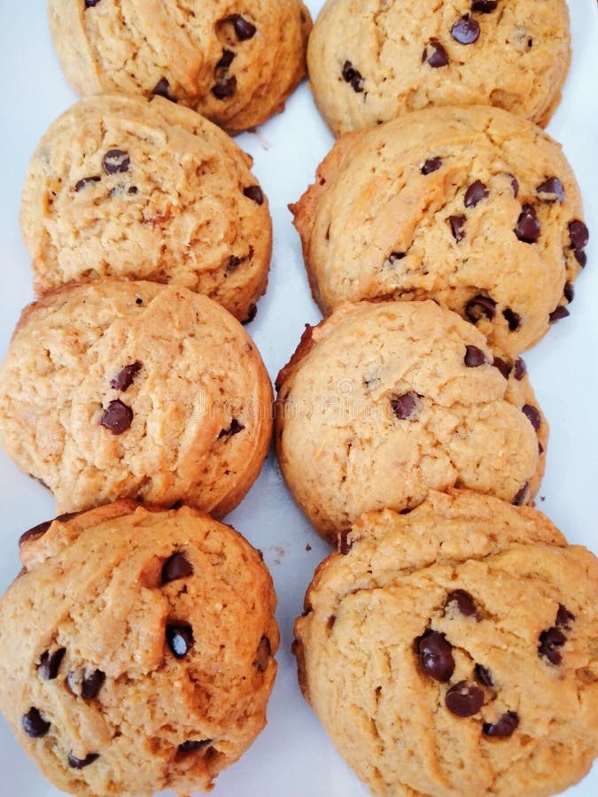 Cookies with Choco Chip stock image. Image of food, cookies - 219198403