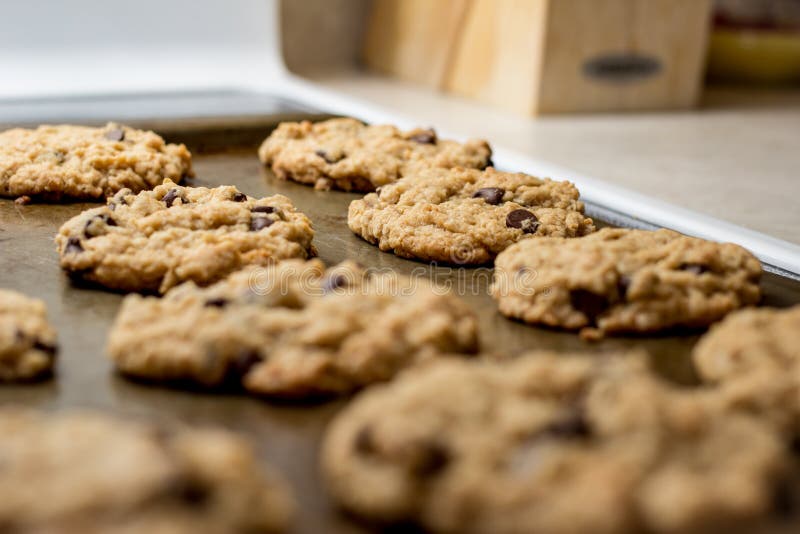 Cookies on baking sheet stock photo. Image of treats - 37955836