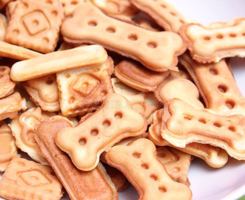 Cookies for dogs stock image. Image of dogs, food, snack - 67037205