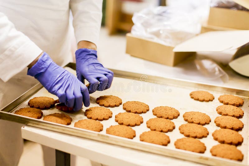 Production Cookie in Factory Stock Image - Image of lots, cookies: 16063257