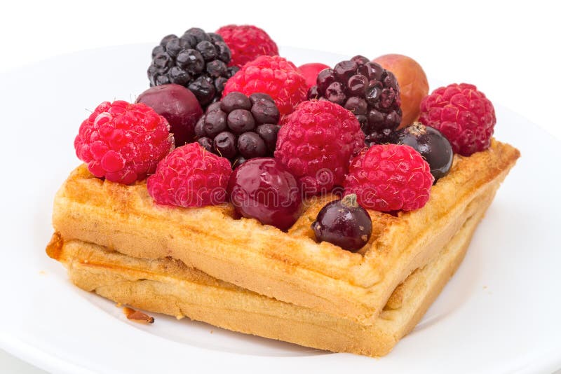 Cookies with frozen fruit stock photo. Image of ripe - 67659778