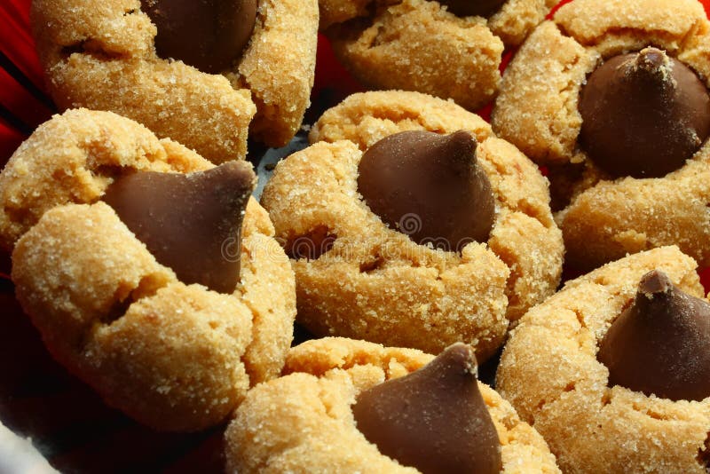 Cookies Macro stock image. Image of snack, food, tasty - 7263815