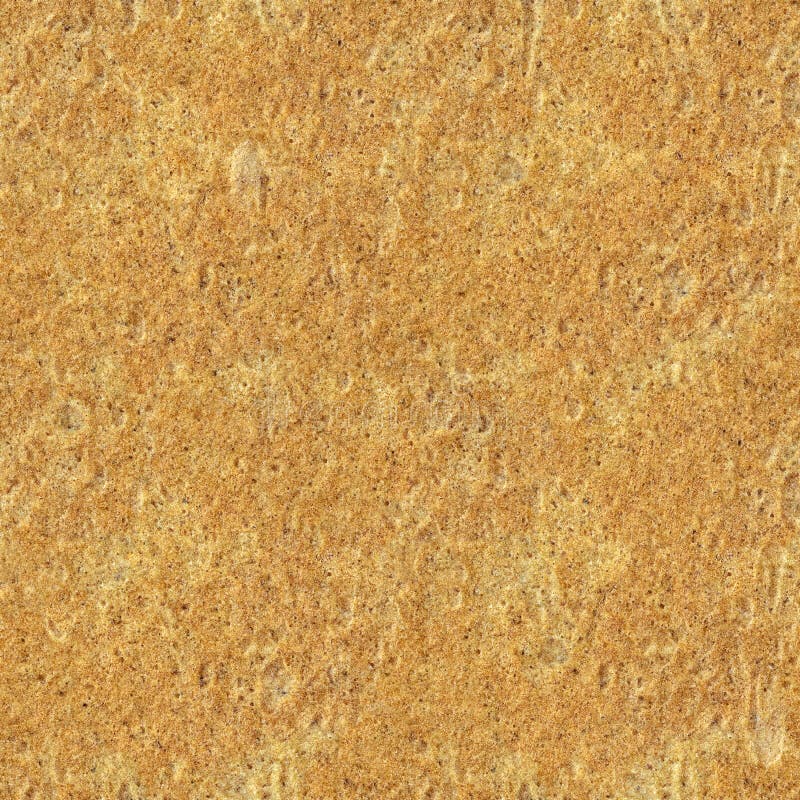 Seamless Cookie Texture