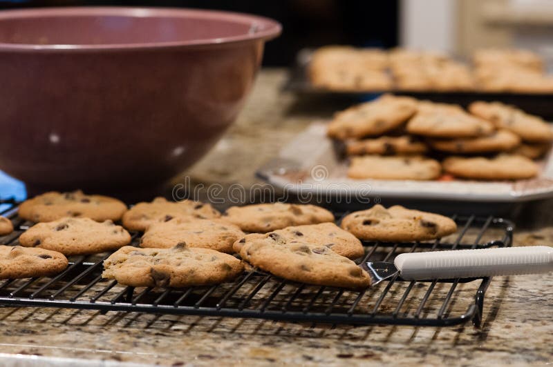 Cookies stock photo. Image of cooling, cookie, cookies - 70149128