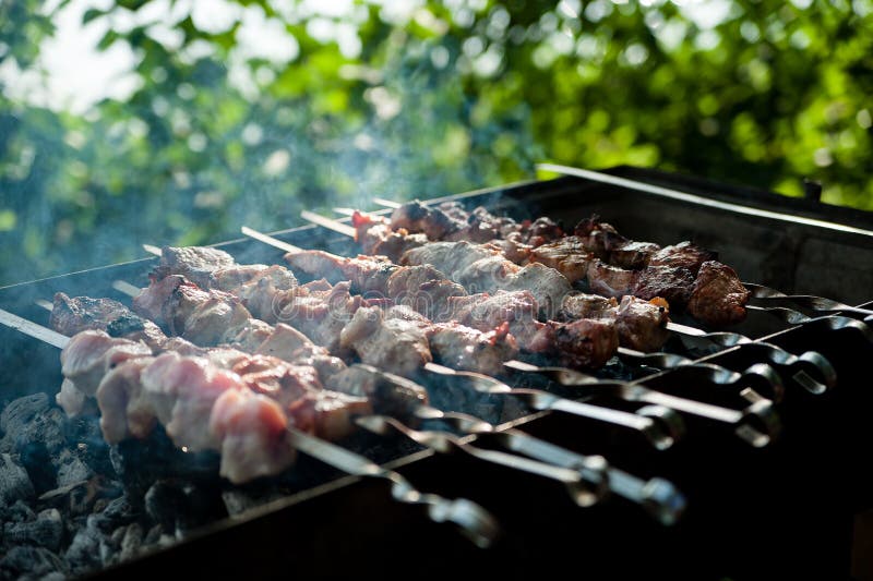 Cooking Barbecue in Nature. Camping and Picnic. Stock Image - Image of ...