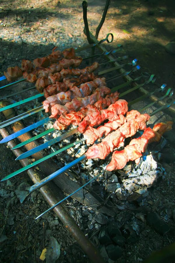 Cooking Barbeque Pork on Skewers Over a Fire Stock Photo - Image of ...