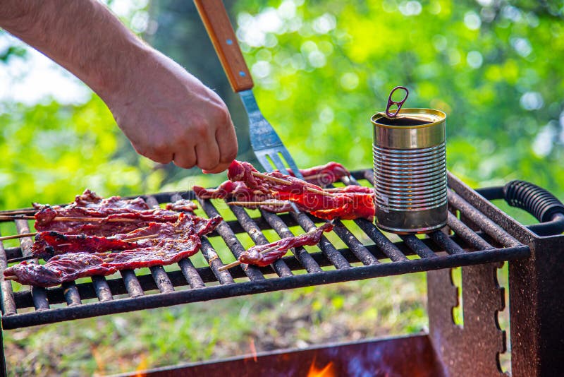 Cooking Beef Strips on a Camp Fire Stock Image - Image of furnace ...
