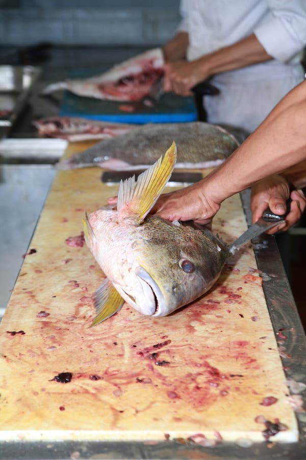 Cooking big fish stock image. Image of slice, butchering - 12720987