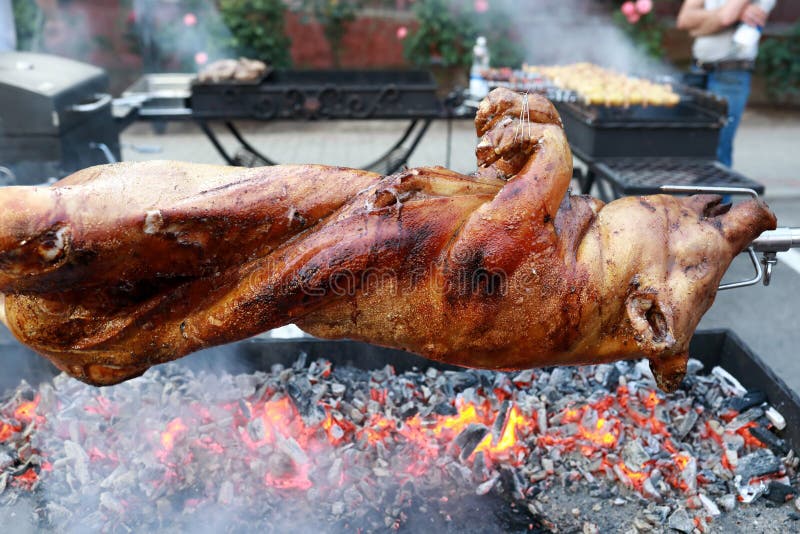 Cooking boar on spit stock photo. Image of charcoal - 156663852