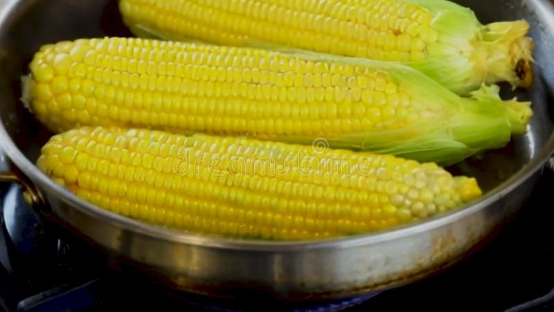 Cooking Boiled Corn at Home. a Pot of Corn is on the Stove at Home ...