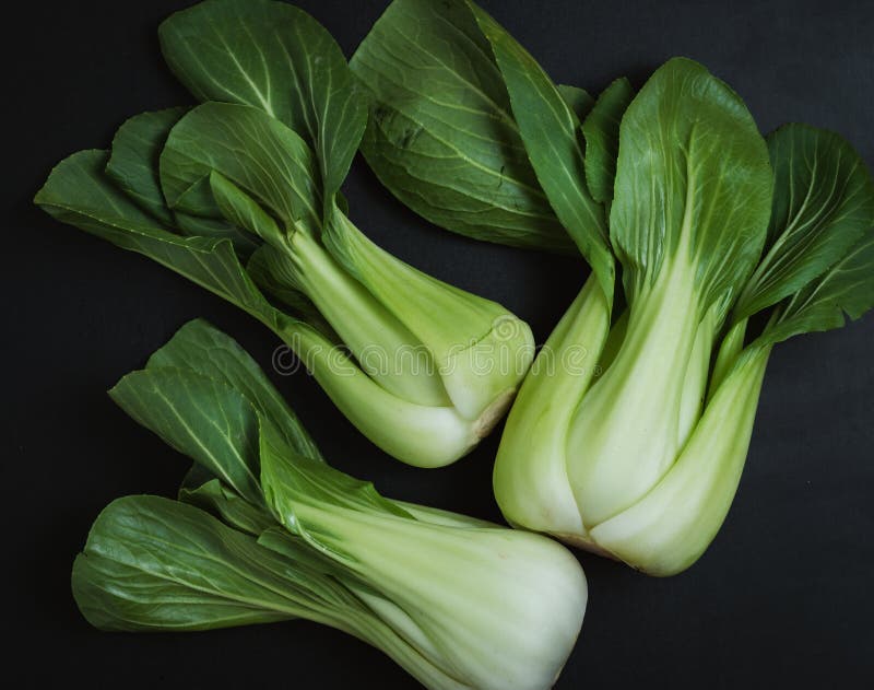 Bok Choy Cabbage Isolated on White Background. Stock Image - Image of ...