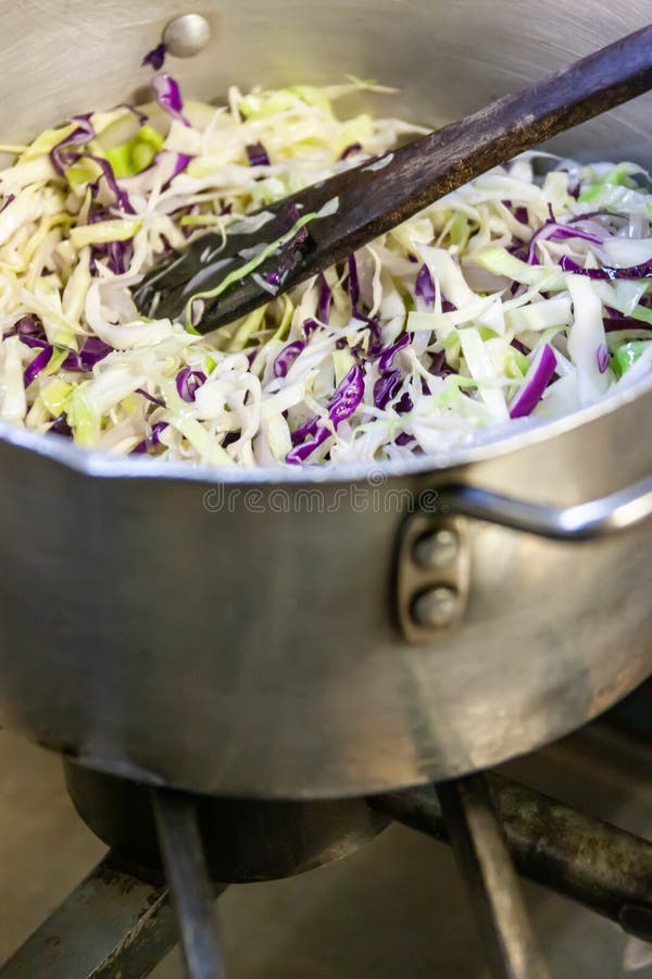 Cooking cabbage in the pot stock photo. Image of gourmet - 161215766