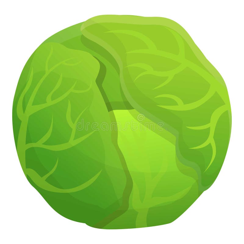 Cooking Cabbage Icon, Cartoon Style Stock Vector - Illustration of ...
