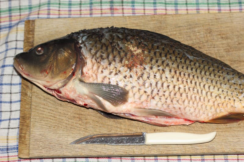 Cooking carp stock photo. Image of knife, carp, fresh - 60797766