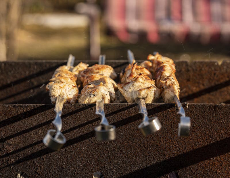Cooking Chicken Kebabs on a Barbecue on a Country Plot, the Concept of ...