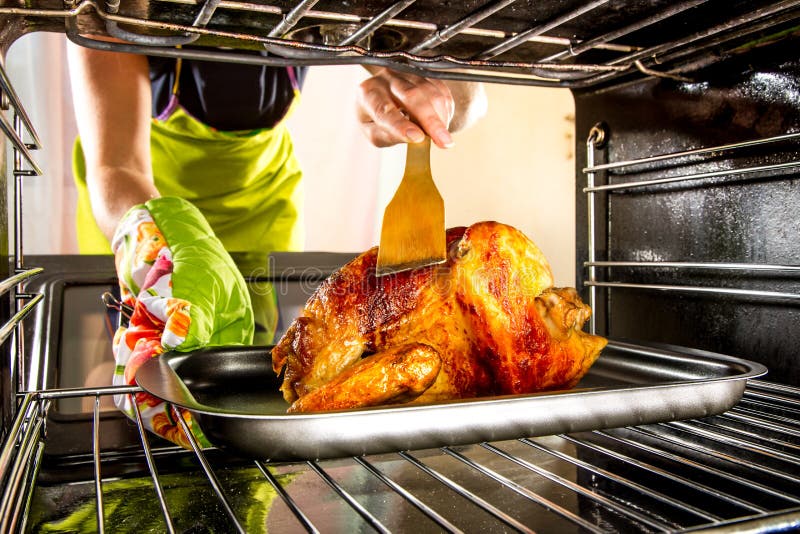 Cooking Chicken in the Oven at Home. Stock Photo - Image of grill, girl ...