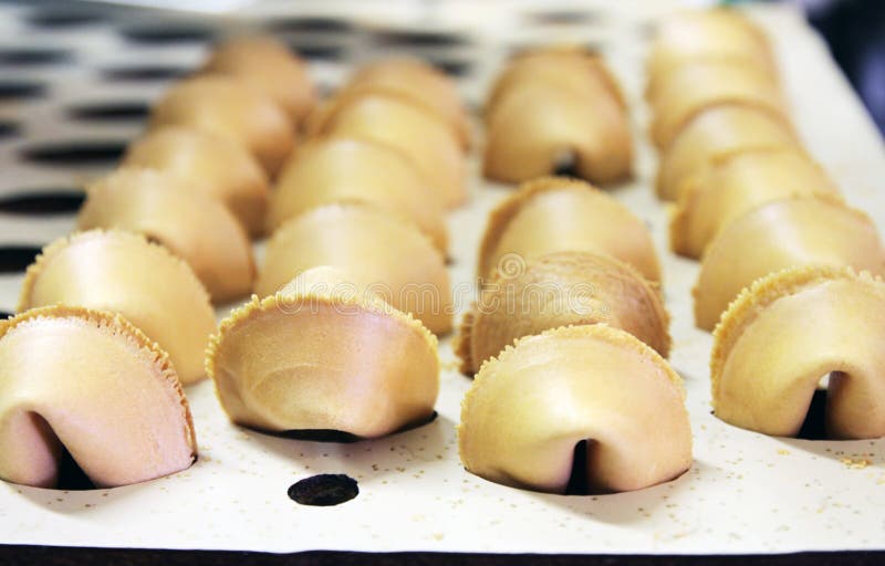 Cooking the Fortune Biscuits Stock Image - Image of chinese, ginseng ...