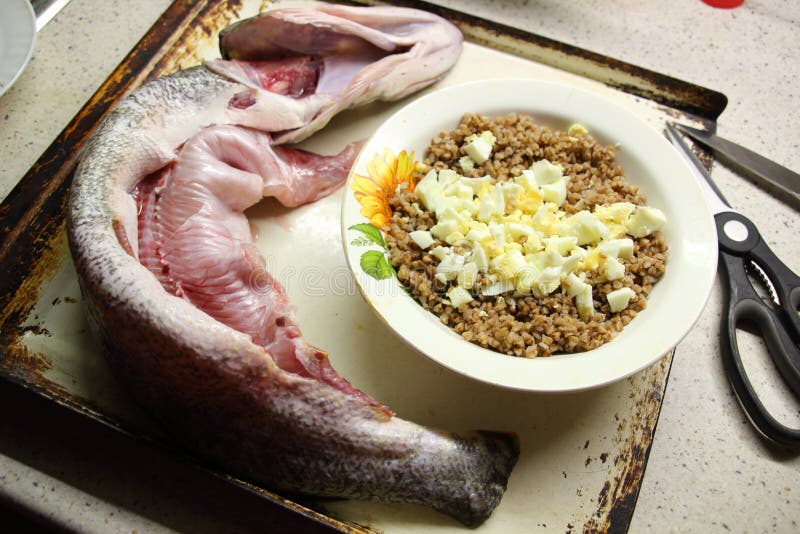 Cooking Chopped Up Fish Luce on Oven-tray with Egg and Buckwheat ...