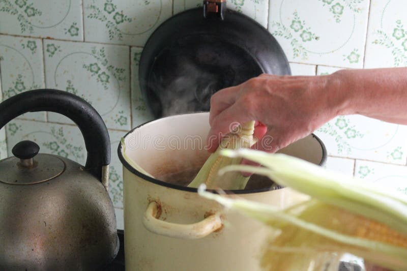 Cooking corn in a pot stock photo. Image of organic - 285130538