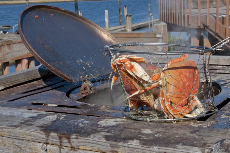 Cooking Crab in Outdoor Pot Stock Photo - Image of seafood, cook: 21411160