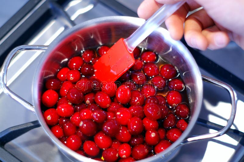Cooking Cranberries stock photo. Image of homemade, jelly - 4427984