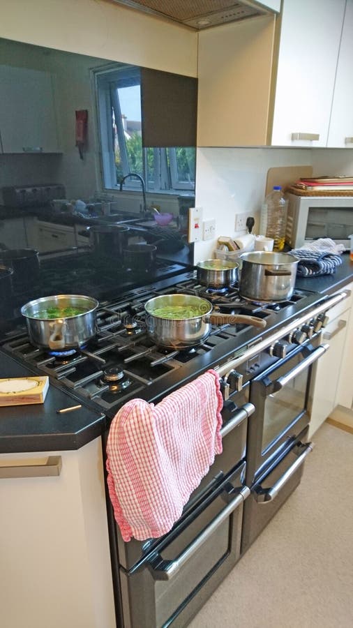 Cooking Dinner stock photo. Image of businessess, business - 101932292