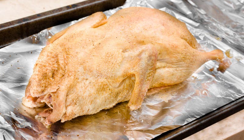 Baked turkey-cock meat stock image. Image of cooking - 29632269