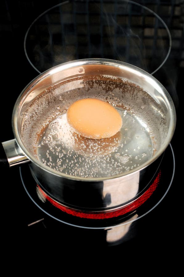 Cooking eggs stock photo. Image of preparation, boiling - 8495856