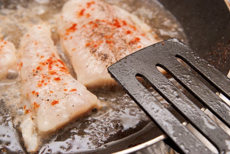 Cooking fish stock image. Image of board, health, bulb - 8197309
