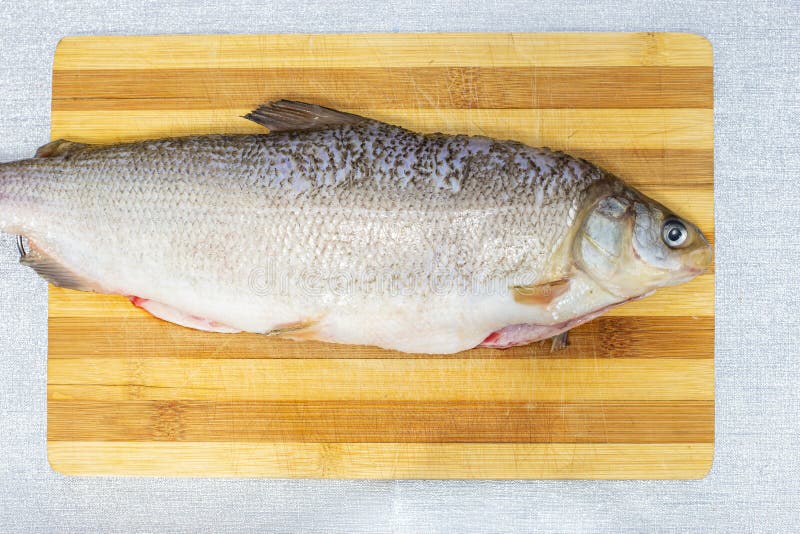 Cooking Fish Cheeks in the Kitchen, Raw Product Stock Image - Image of ...