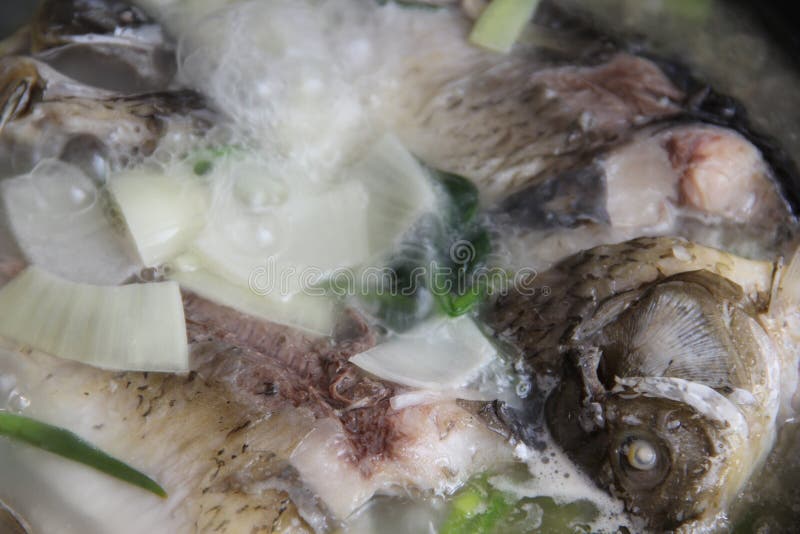 Cooking fish stock photo. Image of dish, fish, cooking - 52173770