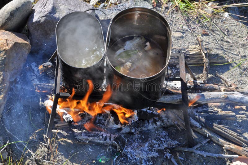 Cooking fish on the fire. stock image. Image of campfire - 47433485