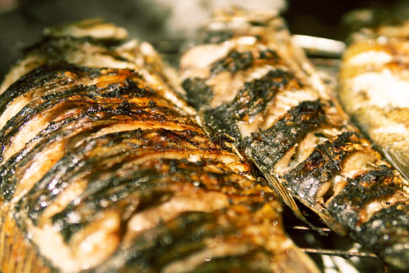 Cooking Fish on the Grill. Fried Fish. Fried Fish on the Fire. Close-up ...
