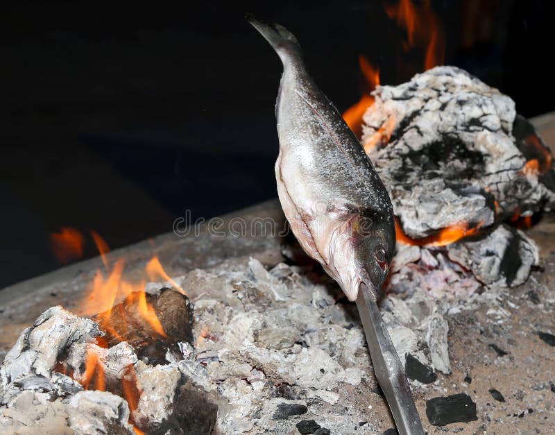 Cooking fish grilled stock photo. Image of fillet, coal - 44713370