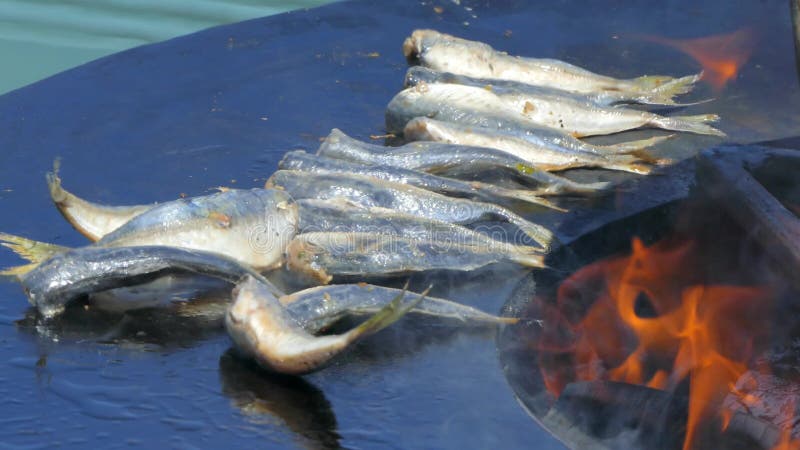 Cooking Fish on an Open Fire Stock Video - Video of food, fish: 109073031