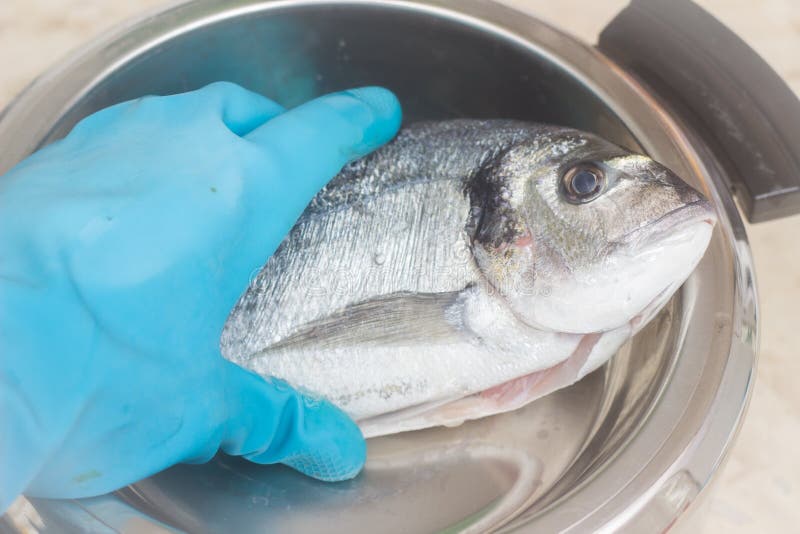 Cooking fish stock image. Image of table, counter, cooking - 50151533