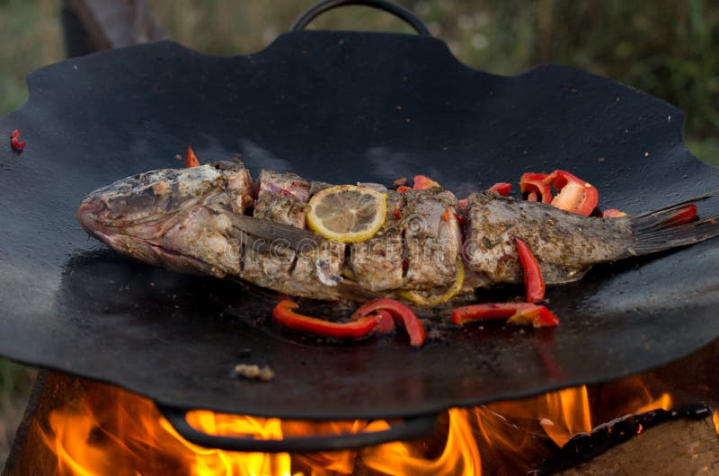 Cooking Fish at the Stake. Fry the Fish on the Fire Stock Photo - Image ...