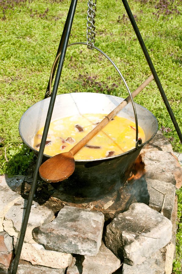 Campfire in the Wilderness in Namibia Editorial Photo - Image of ...