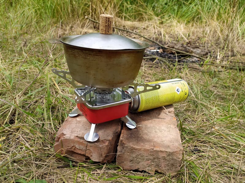 Cooking Food on Campfire in Forest on Summer Day Stock Photo - Image of ...